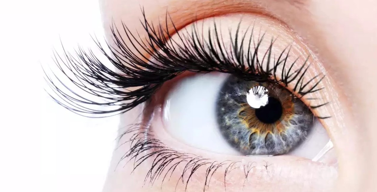 Wie lange ist die Lebensdauer einer Wimper? - Lash Masterclass